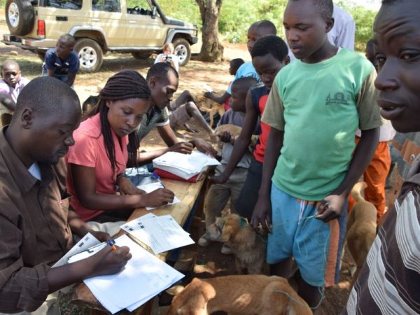 Rabies - Rabies Free Africa